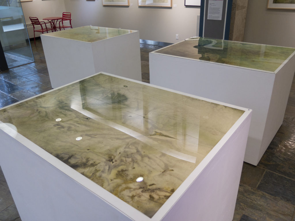 Kelsey Stephenson – Art Portfolio